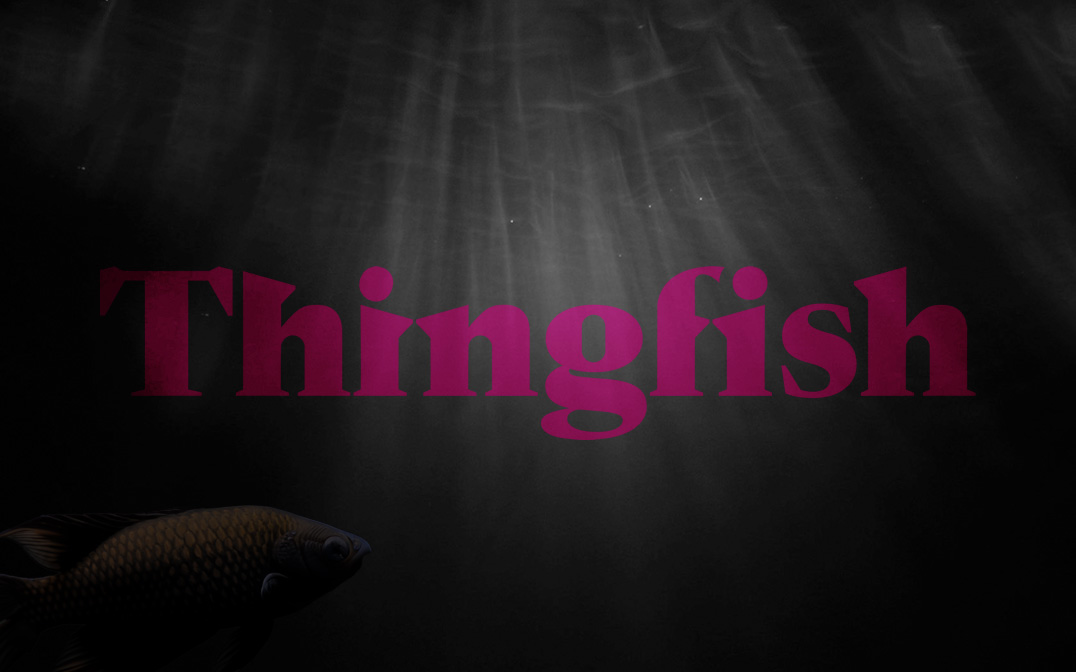 Thingfish - The FWA