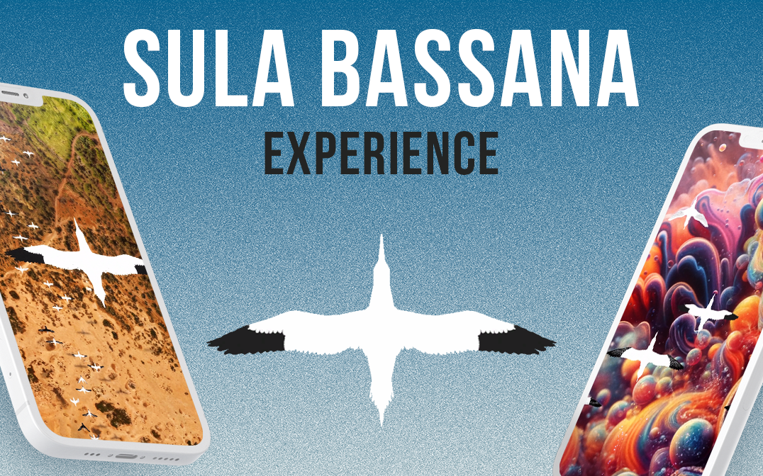 Sula Bassana Experience - The FWA