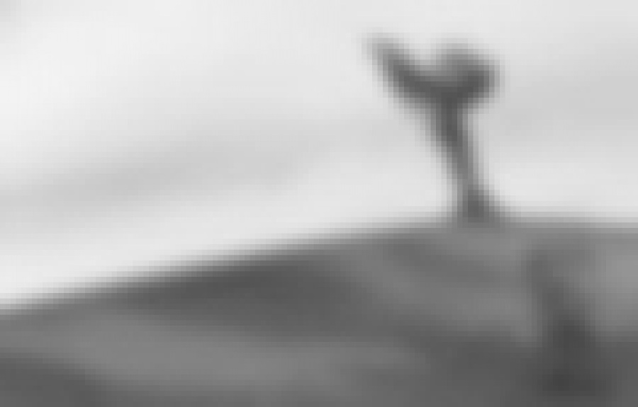 XCR Cross Road - The FWA