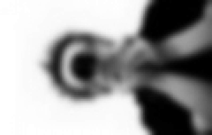 Minki Park - The FWA