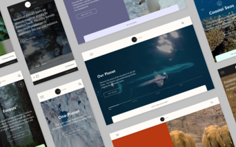 Feels Like - Profiles - The FWA