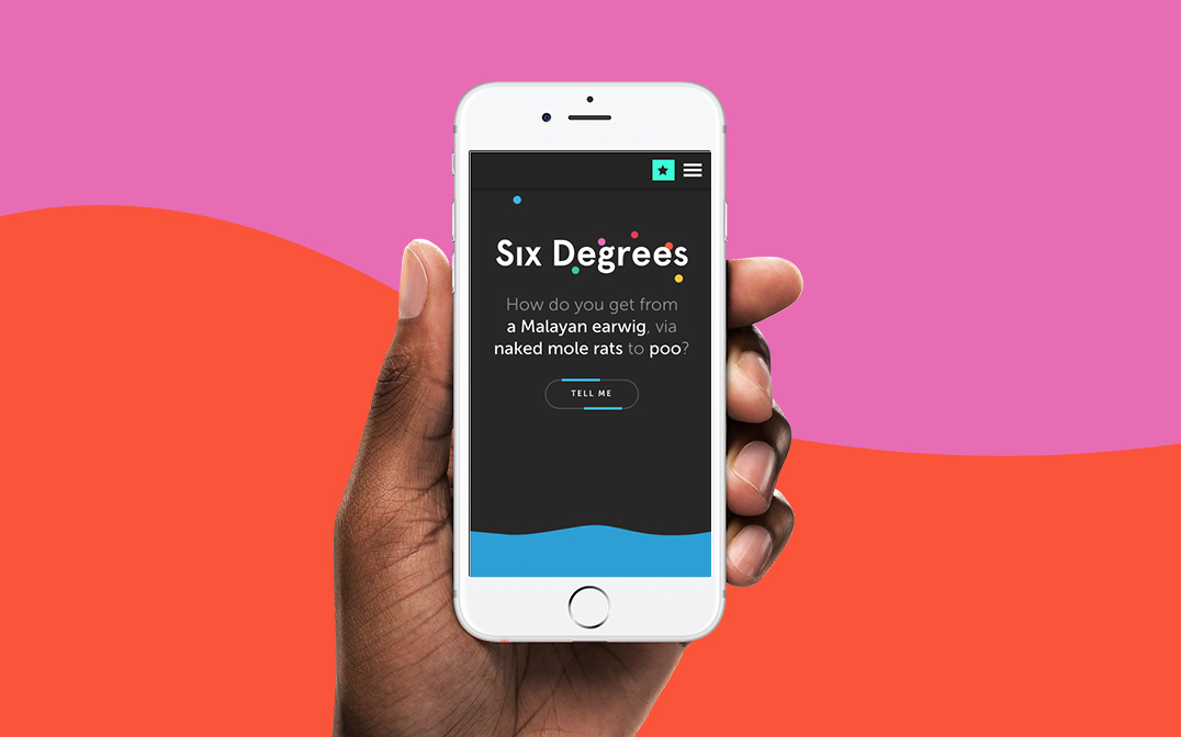 BBC 6 Degrees - The FWA