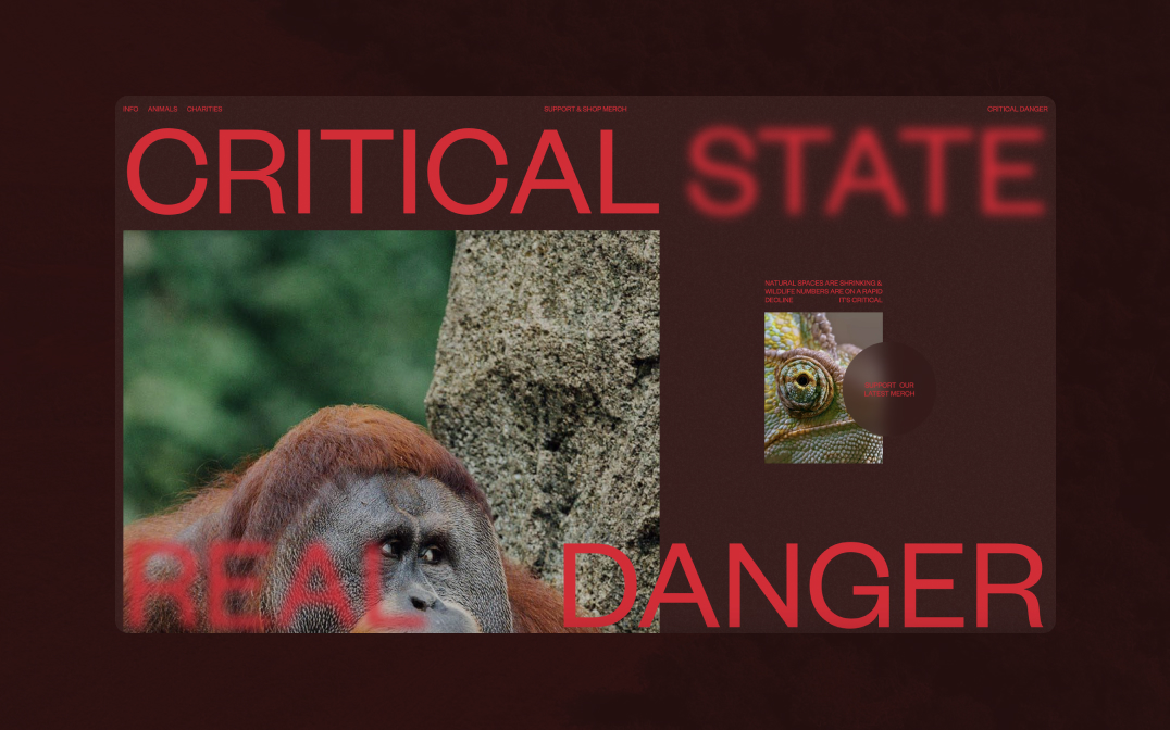 Critical Danger - The FWA