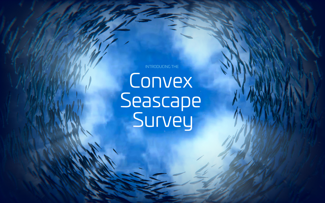 Convex Seascape Survey The Fwa