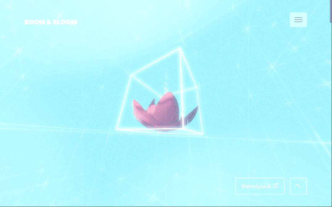 Boom & Bloom - The FWA