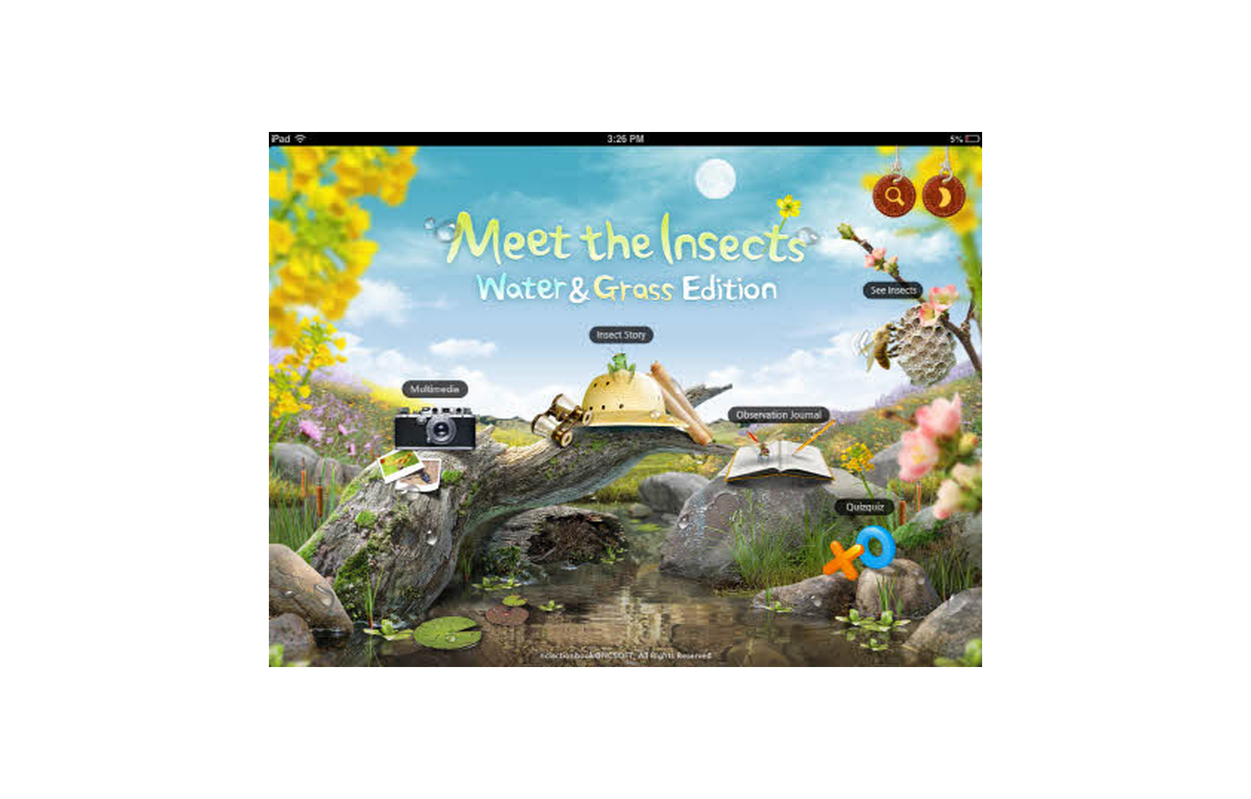 Meet the Insects : Water & Grass Edition - The FWA