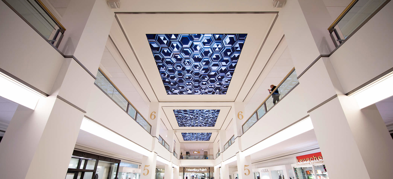 Insights... The Canopy at 900N - The FWA