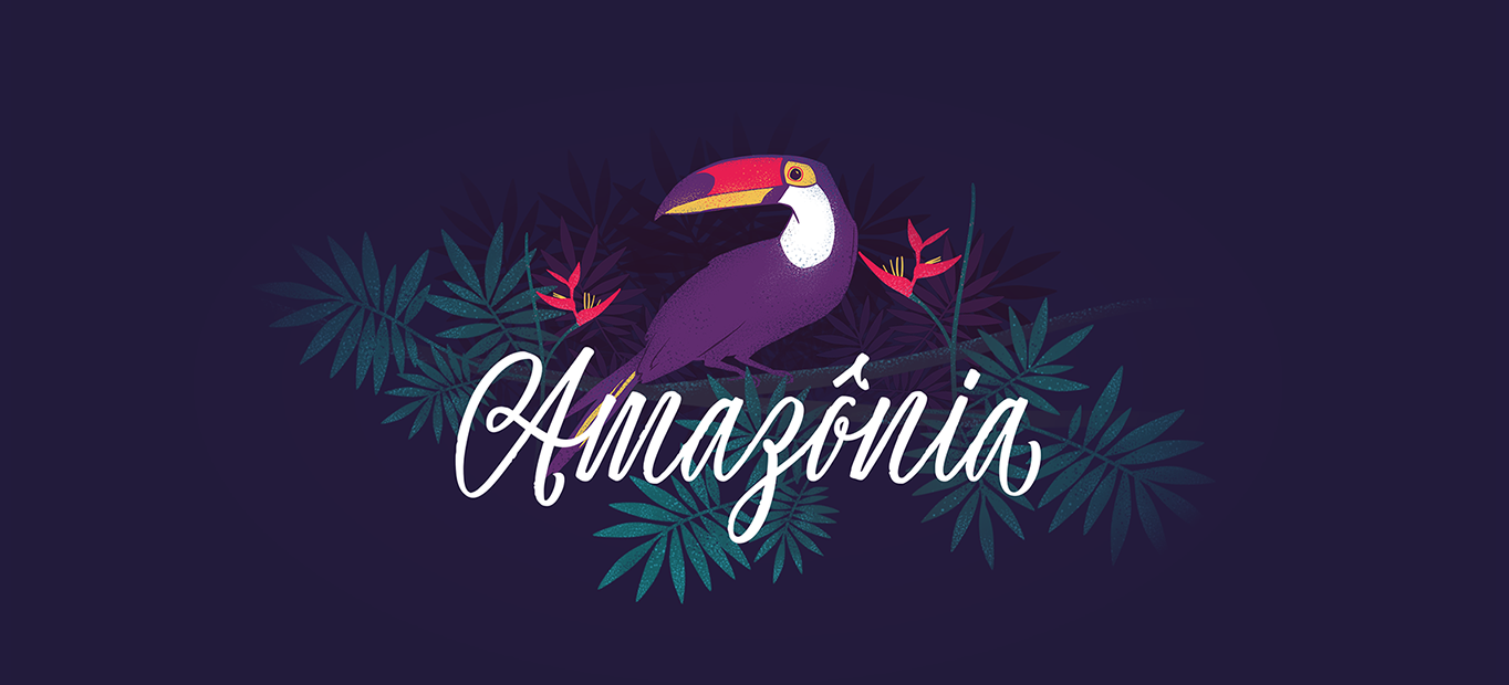 Insights... Amazônia Font - The FWA